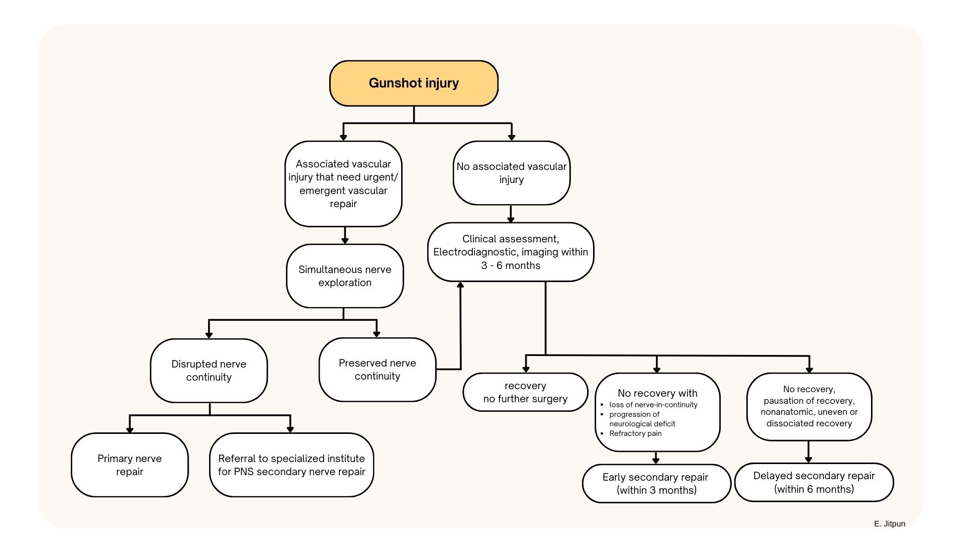 Understanding Brachial Plexus Injury: A Patient Guide to diagnosis and ...